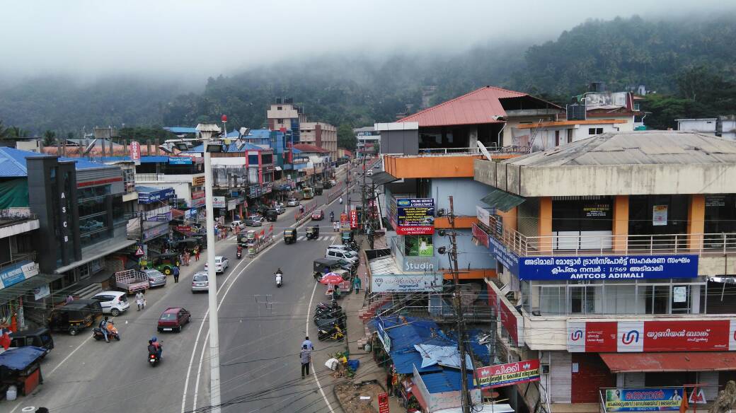 MOONWALK TOURS : ADIMALY gate way of MUNNAR