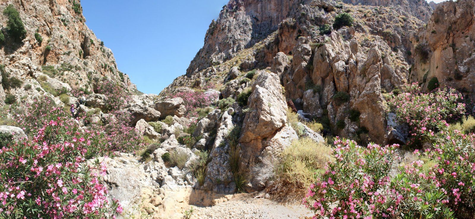 EXPLORE MOUNTAINS: ΣΤΟ ΦΑΡΑΓΓΙ ΣΤΑ ΠΕΡΒΟΛΑΚΙΑ-ΜΟΝΗ ΚΑΨΑ