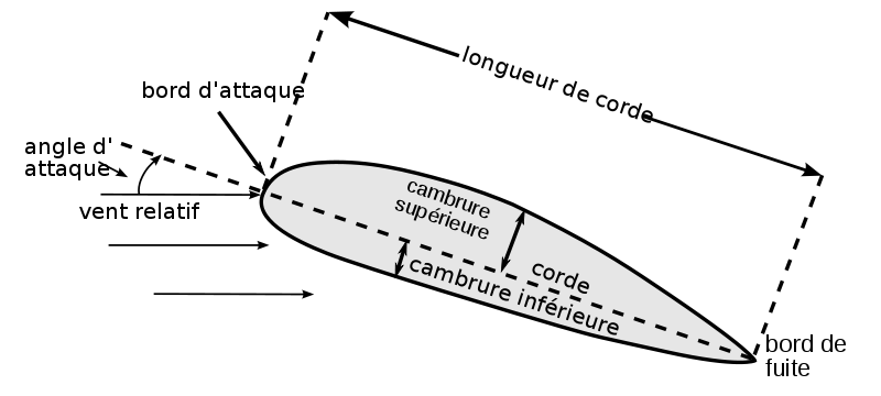 Mon carnet de vol: Bec de bord d'attaque de forme variable