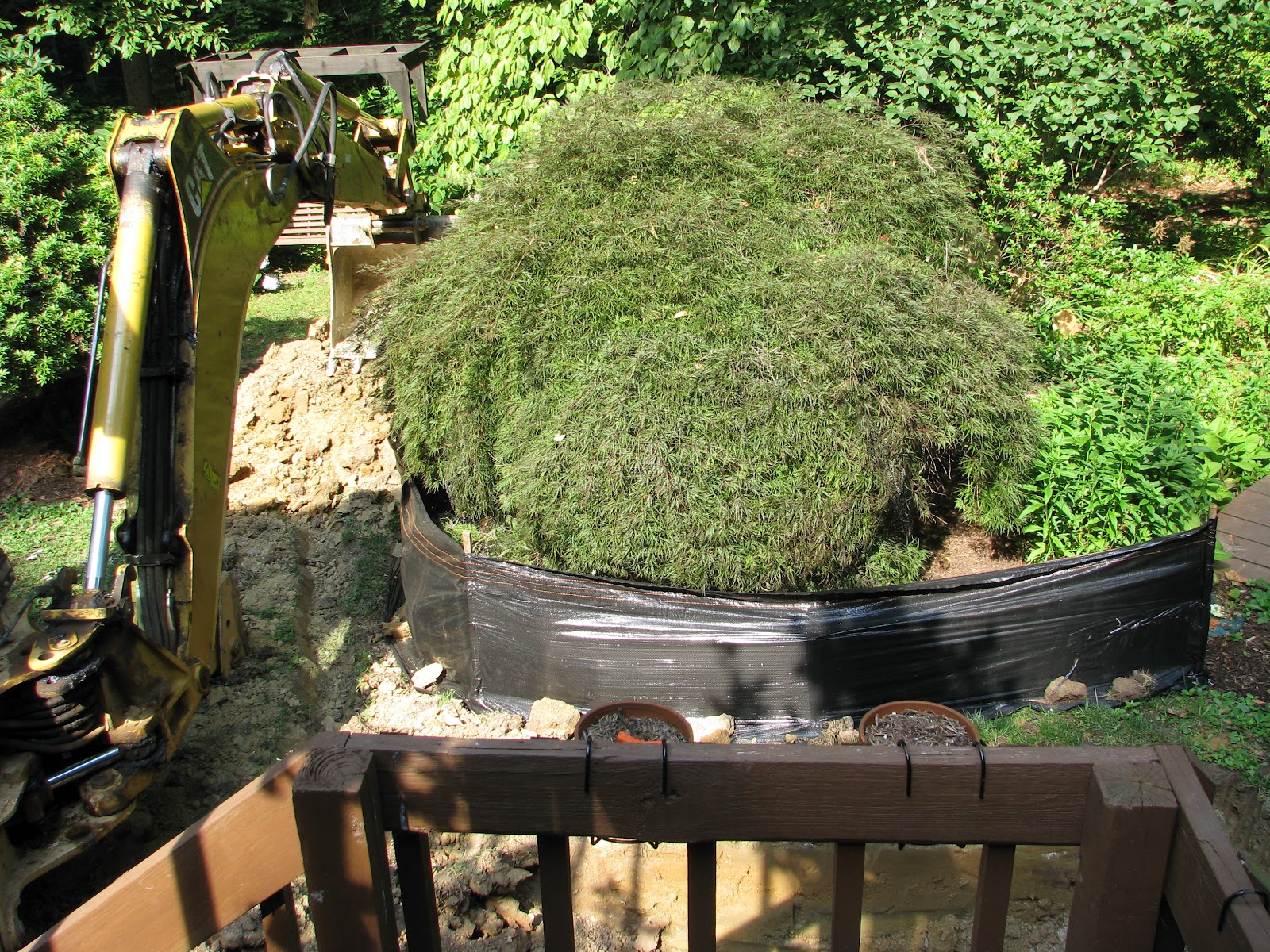 Designs by Pinky: ~~~DISASTER in the Backyard!!!~~~