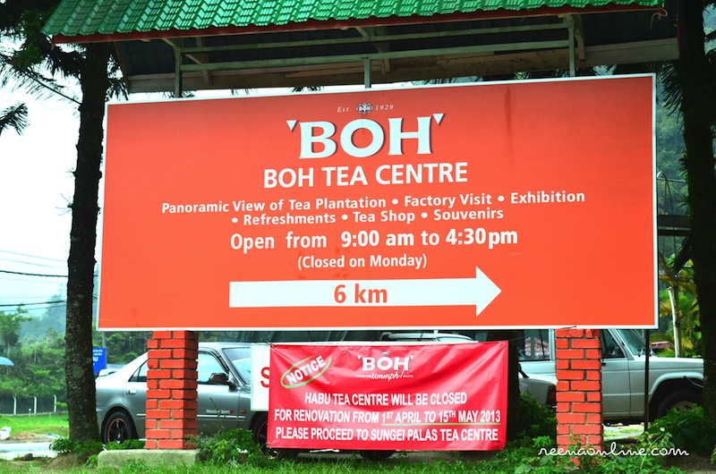 Reena's Online: Boh Tea Plantation, Habu, Cameron Highlands