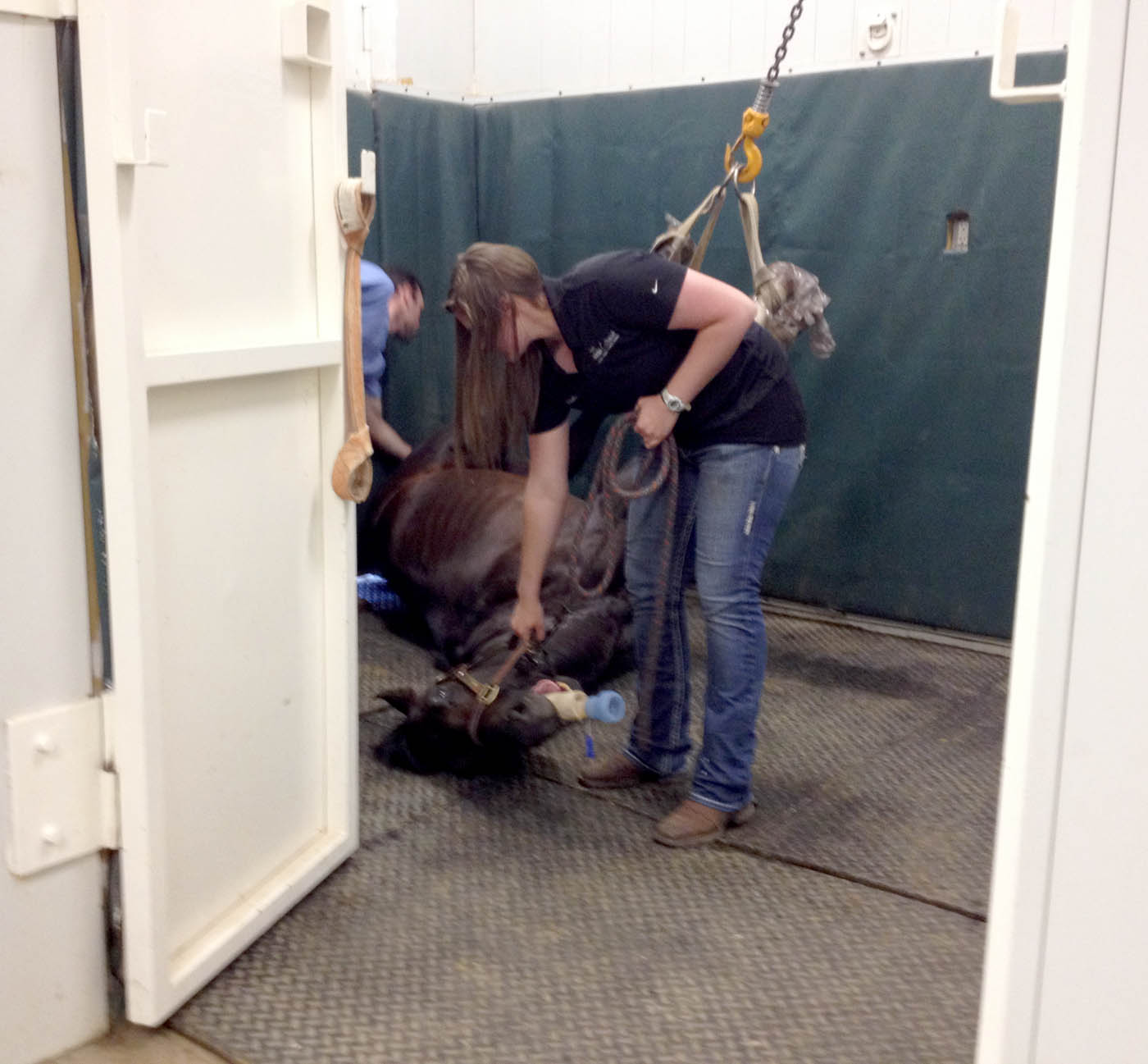 Bit of Honey Training: Note's Surgery