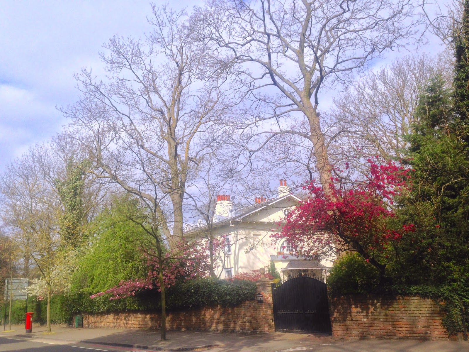 Alice in Wonderland: Diary 270: A Magic Cherry Blossom Garden Party Weekend