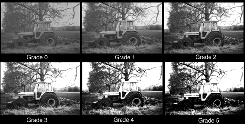 Contrast Grade | Wolrd Photography