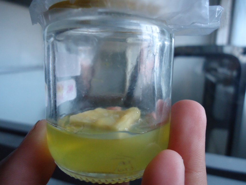 Kultur Jaringan: KULTUR UMBI WORTEL (INDUKSI KALUS)