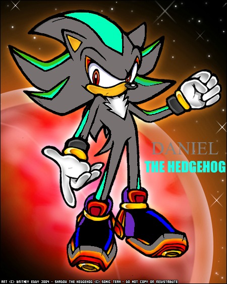 Shadow the hedgehog y Daniel the hedgehog