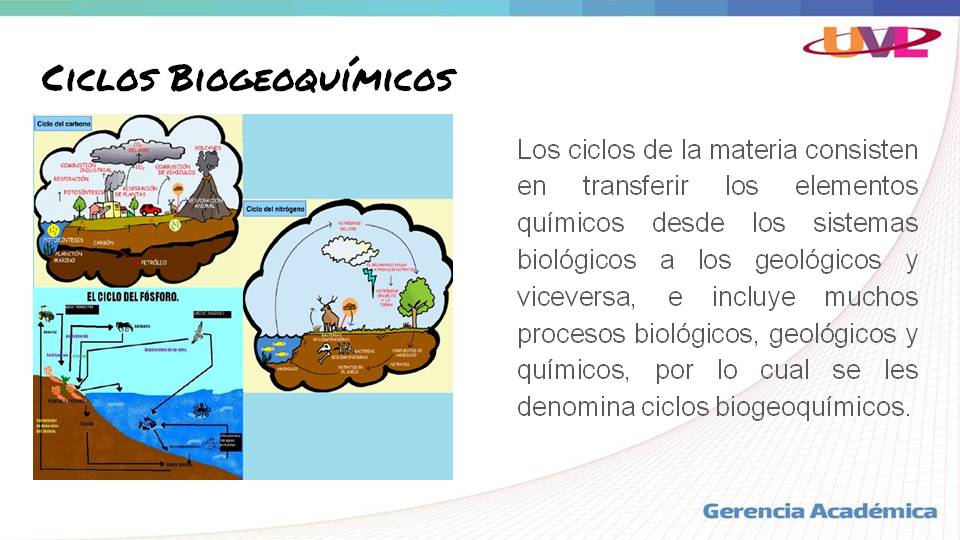 UVL_Ecología y Medio Ambiente_MACH: Ciclos de la Materia en los Ecosistemas