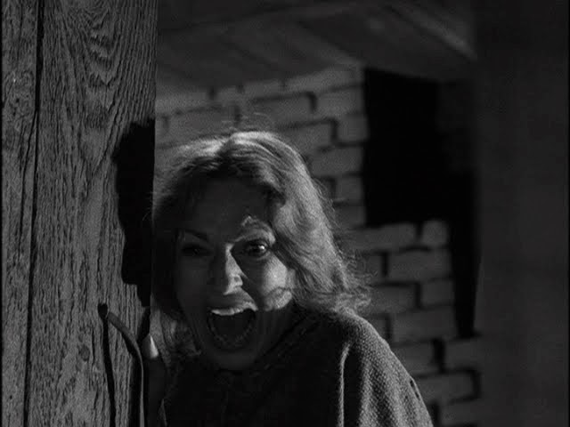 The Twilight Zone Vortex: "The Invaders"