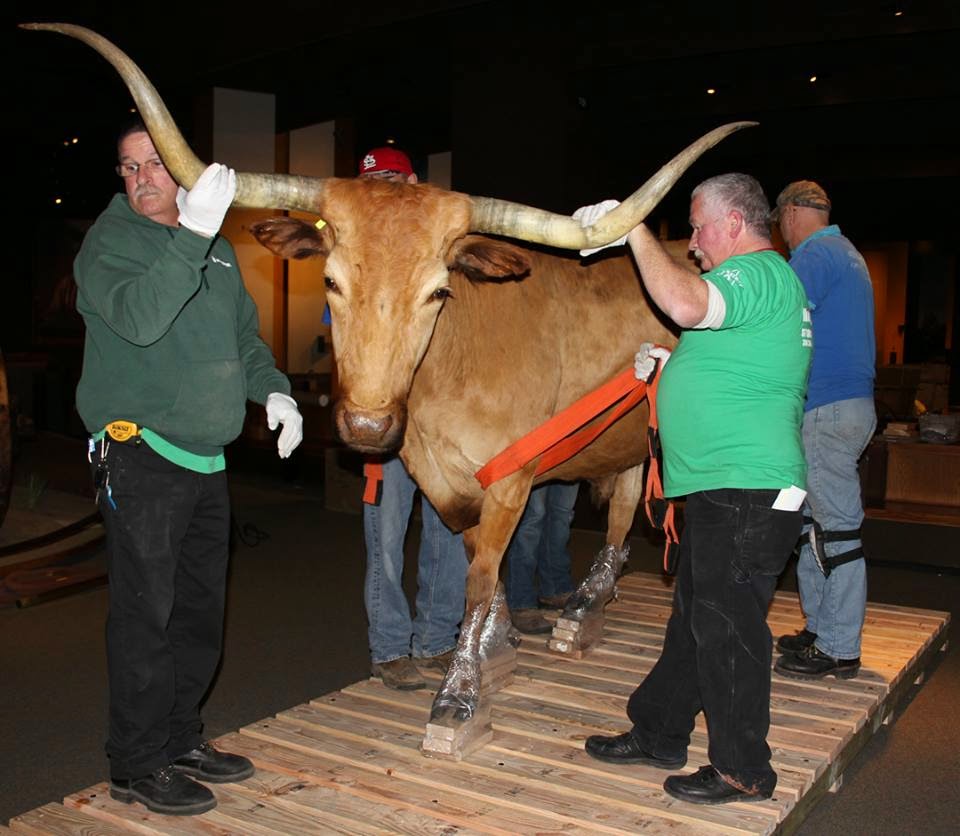 Dodge Moving & Storage a Mayflower Agent