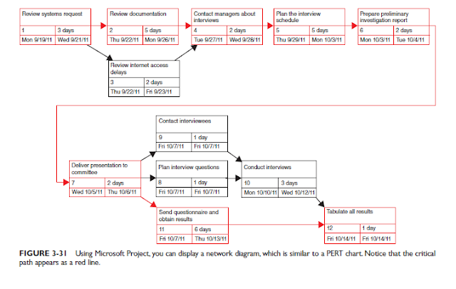 System Analysis and Design: Project Management Examples