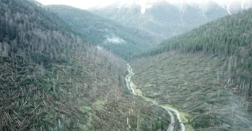 Nin.Gish.Zid.Da - ®wld: FERITE PROFONDE