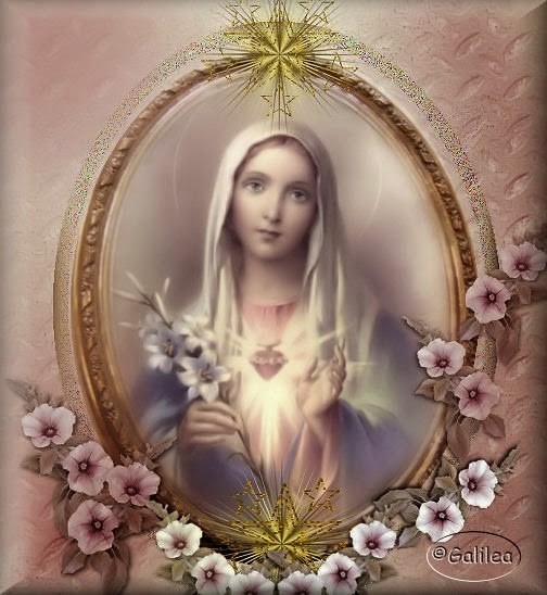 Santa María, Madre de Dios y Madre nuestra: El nombre de María