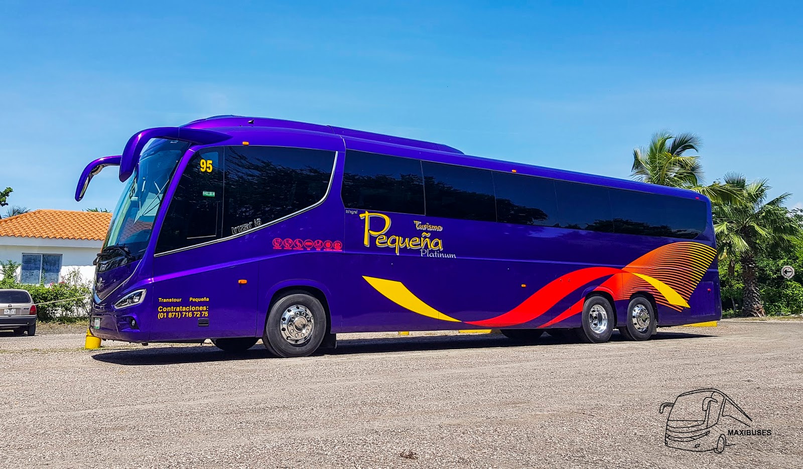 MAXIBUSES: AUTOBUSES TURÍSTICOS PEQUEÑA PLATINUM (TURISMO)
