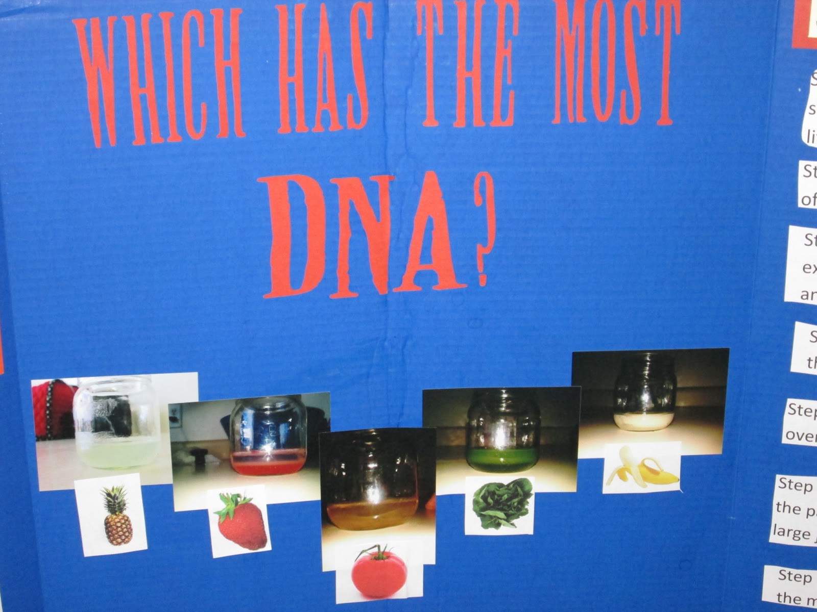 ELLISON: Tanner's Science Fair Project