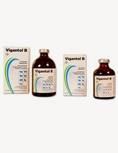 POR LA SALUD DE TU EQUINO