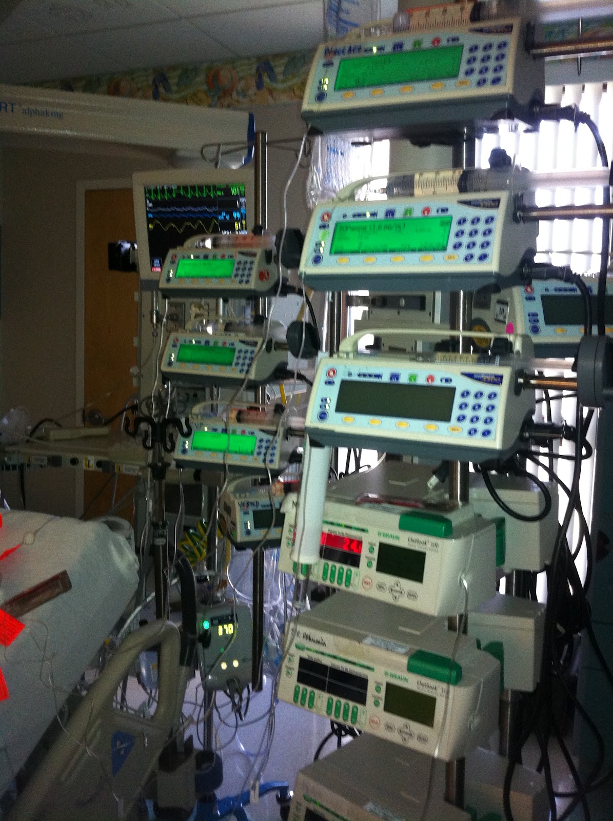 Brenny's Beans: A new chapter in this unbelievable journey!