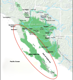 Geography 5 Final Project: The Sonoran Desert in Baja California