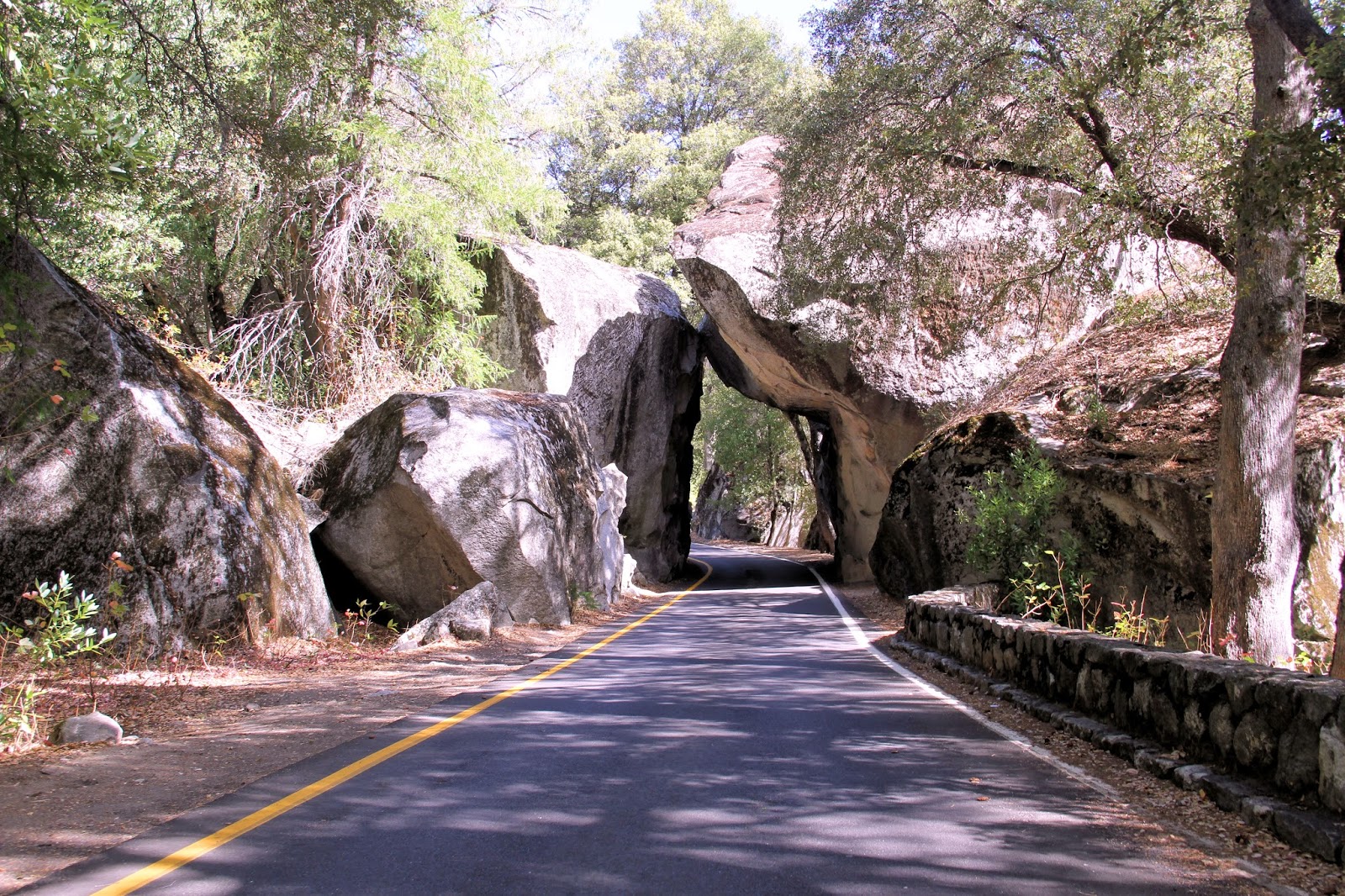 Bob and Carmen at Yosemite and Lake Tahoe: Yosemite Valley Drive