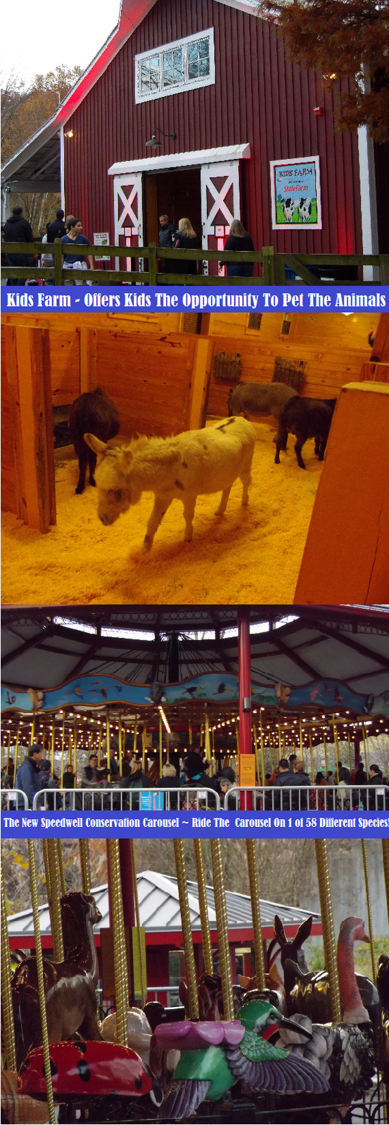 One Savvy Mom ™ | NYC Area Mom Blog: ZooLights - At The Smithsonian ...