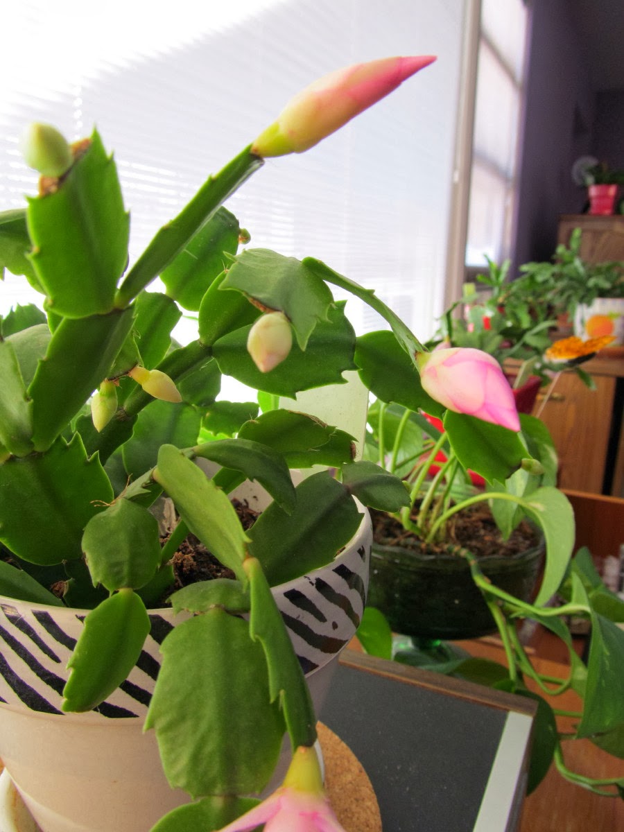 Exuberant Color : One more quilt top done, another on the way.......