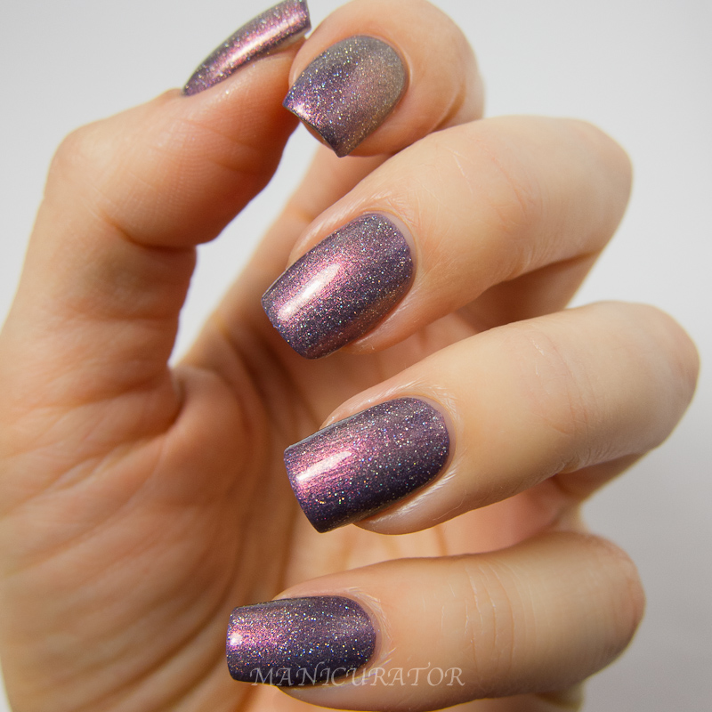 Dandy Nails Winter Collection and more! Swatches and Reviews