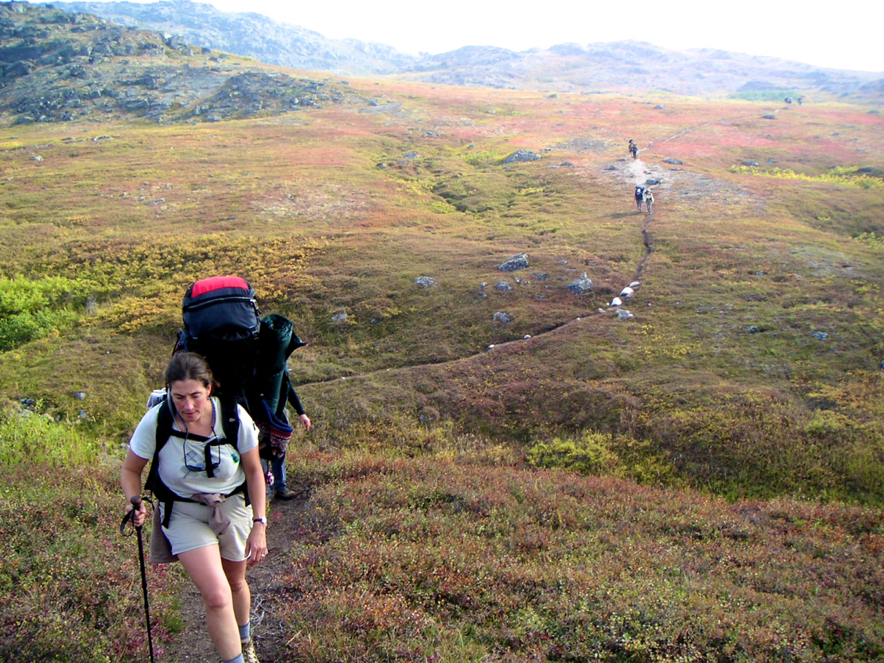 Chuck's Adventures: Backpacking Alaska's Kesugi Ridge Trail in Denali ...