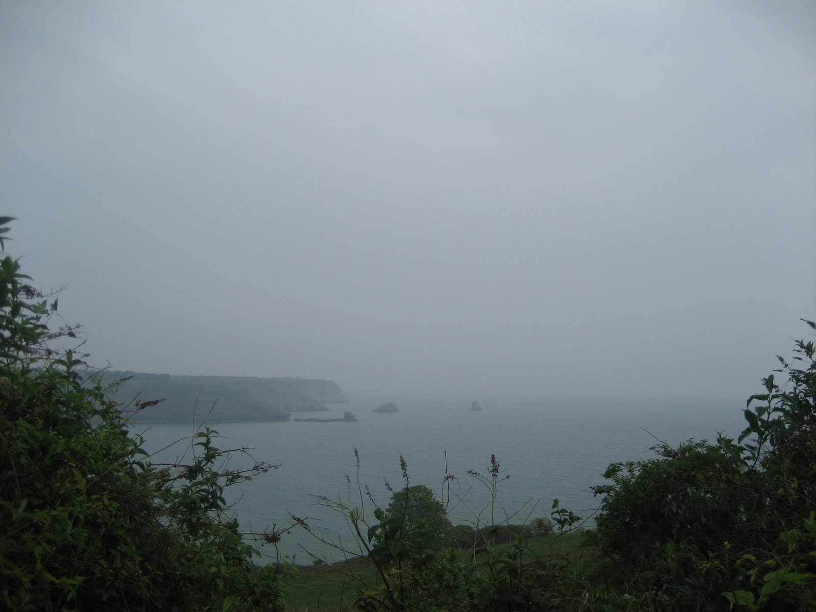 INSPIRED WALKS AROUND DEVON: Sharkham Point to Man Sands, Brixham ...