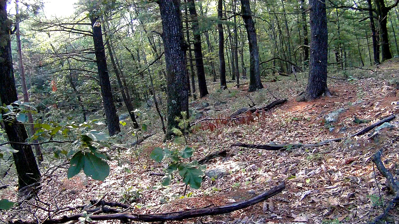 Nor'Easter Backcountry: Whipple Hill in Photos