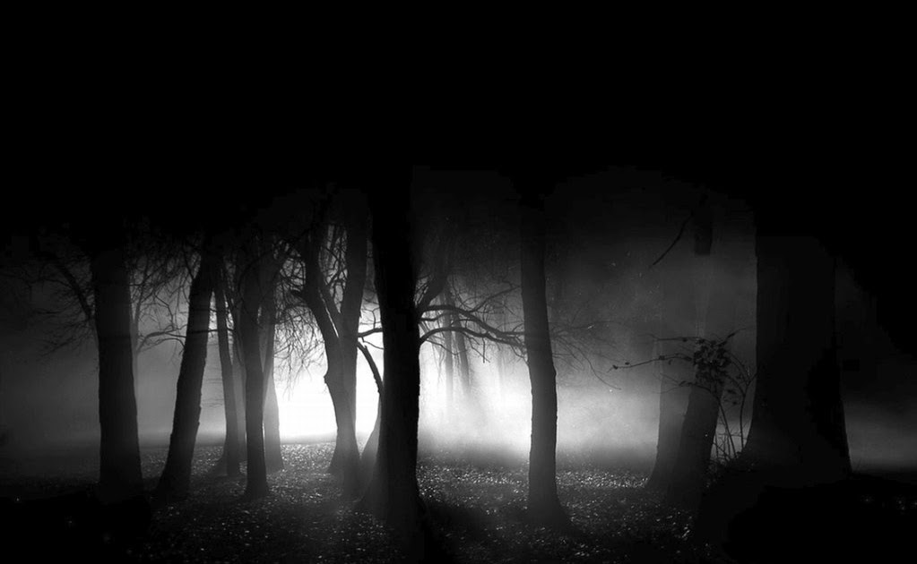 My Perception: The Darkness