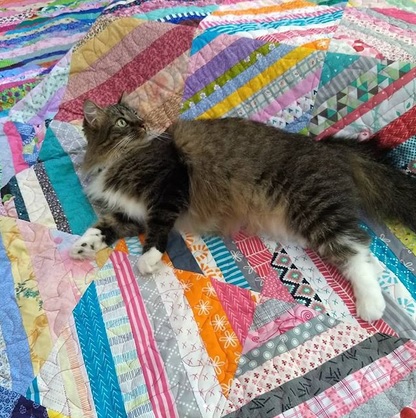 Kat & Cat Quilts: Scrappy Happy