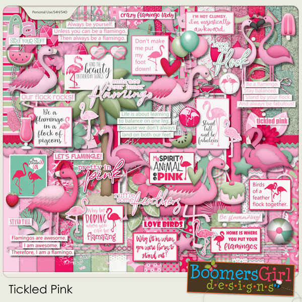 BoomersGirl Designs: "Tickled Pink" Digital Kit - Flamingos!