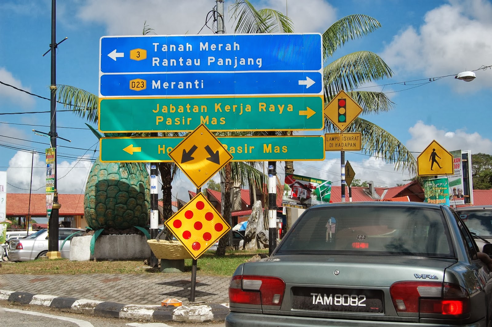 my story: KAMPUNG KANGKONG, PASIR MAS