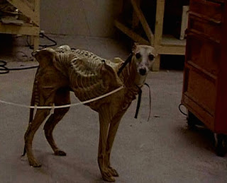 Alien Explorations: Alien 3: ADI's dog alien