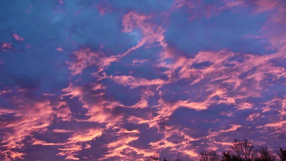 Tales From The Wilds: October Visions of Nature