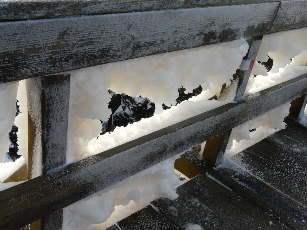 Swallowtail Keepers Society: Freezing Spray Warning - Blizzard 2013