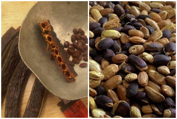 MENGEJUTKAN! Inilah 4 Manfaat Dasyat Biji TREMBESI, No 4 Efeknya Bisa ...