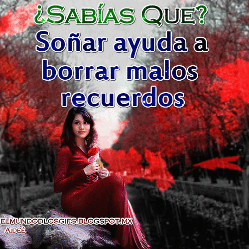 El Mundo de los Gifs: Sabías qué... (ver más...)