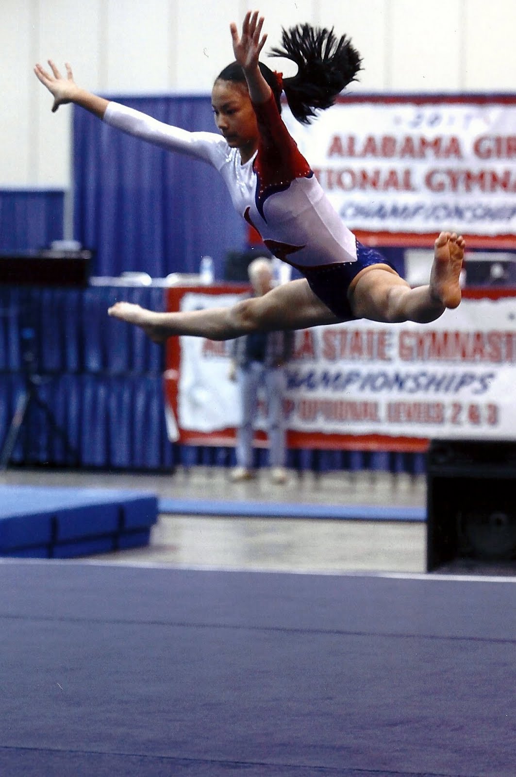 The Persons Family Journey: State Gymnastic Meet in Huntsville for Prep ...