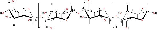 Tahukah Anda? : Enzim selulase