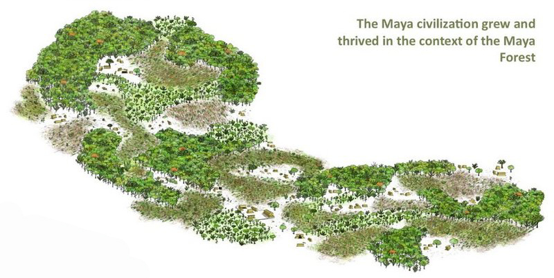 The Gift of the Maya - resilience