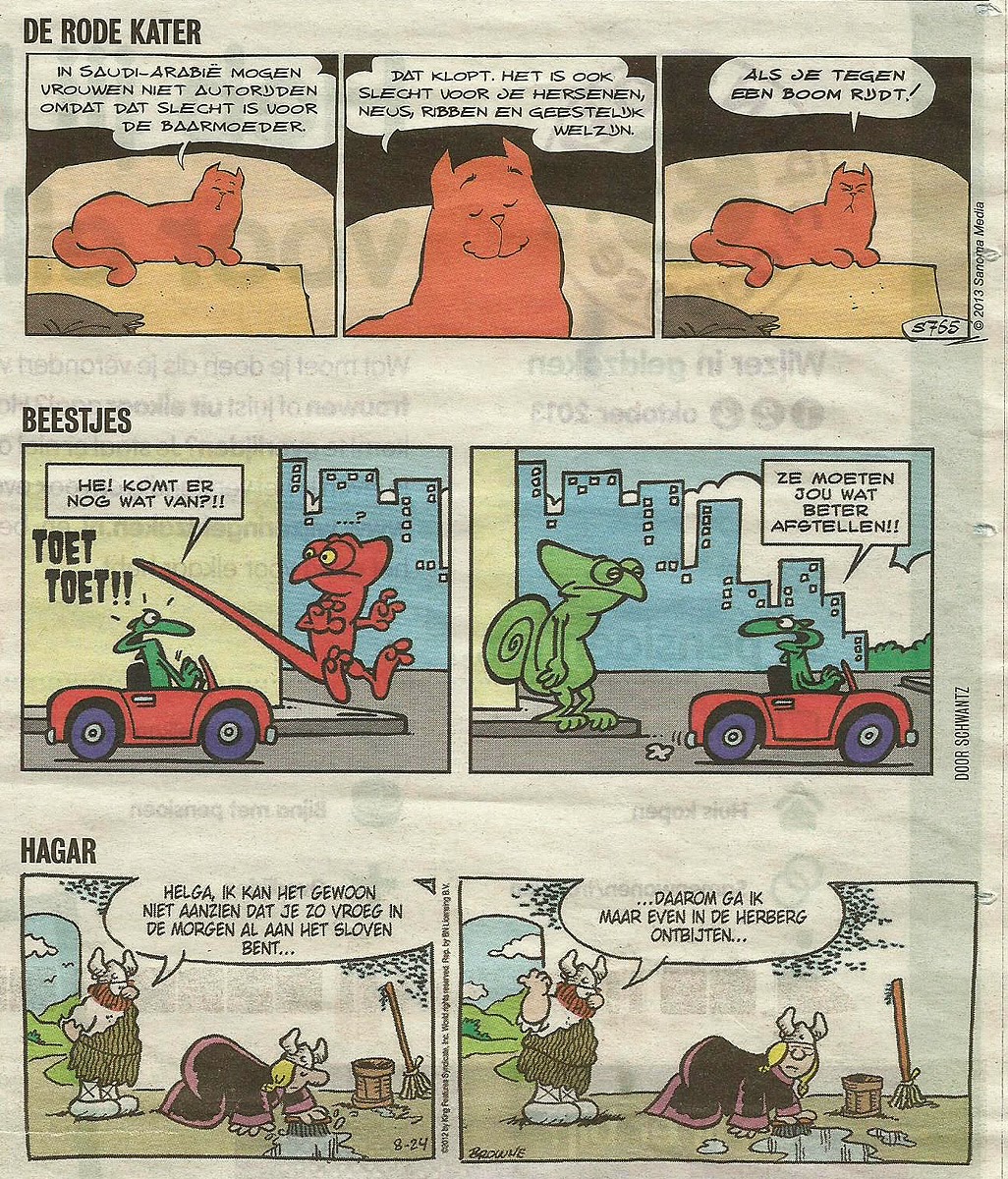 Rene's Comics and Stuff: Wednesday, 02/10/2013 - Daily newspaper comics