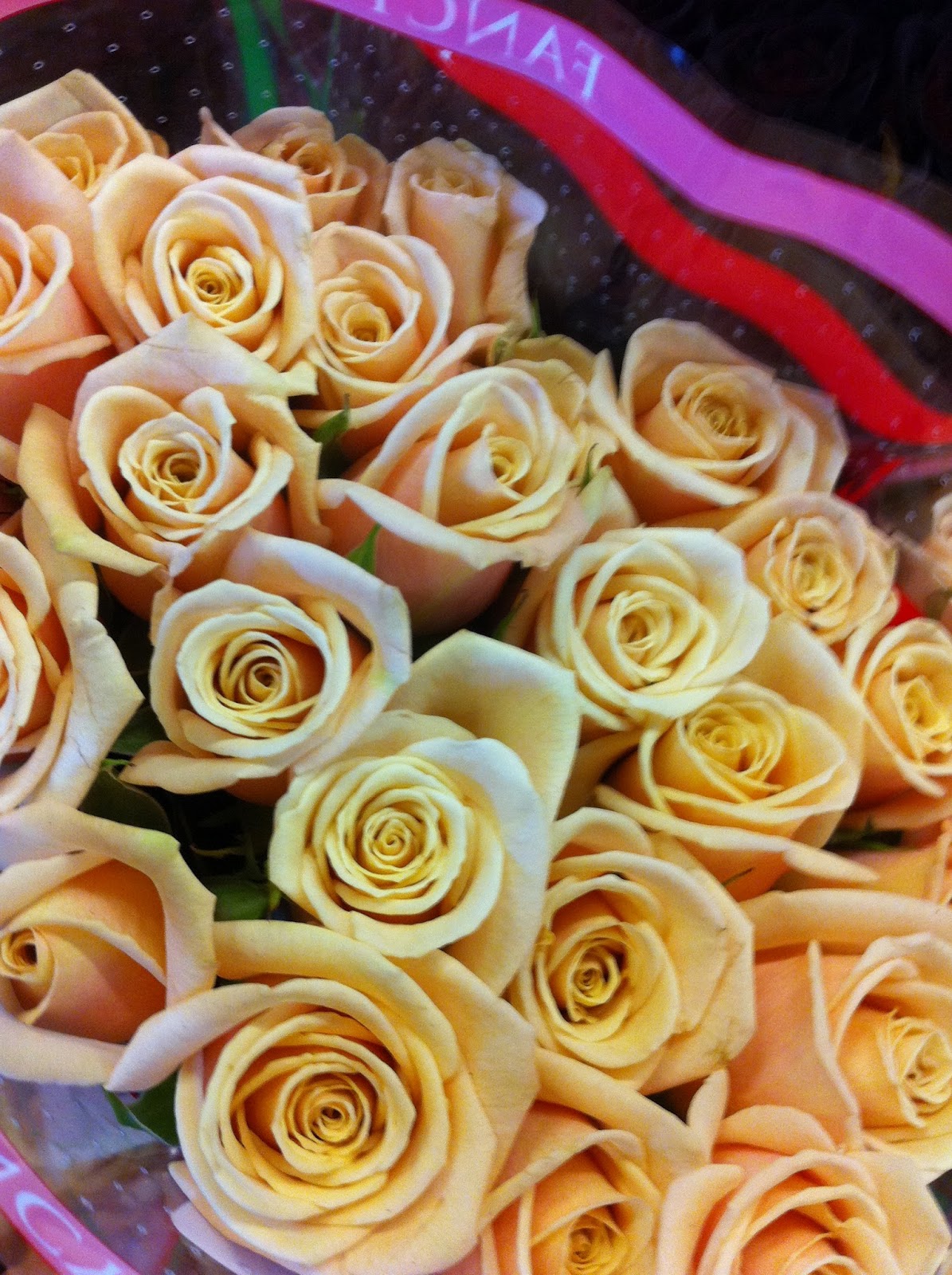 pico soriano designs: ROSES PART II