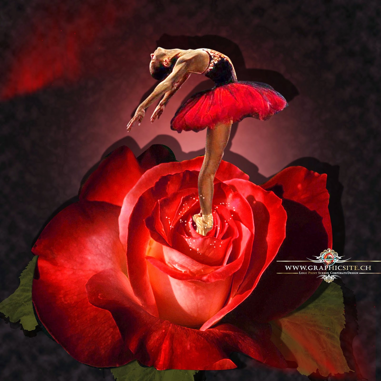 GRAPHICSITE LUZERN: "BALLERINA ROSE" ~ Digital Artwork