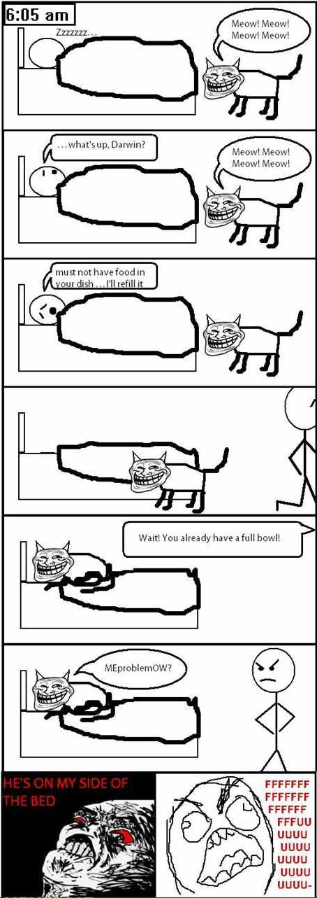 CyBeRGaTa: Troll Cat and other Meme Kittehs