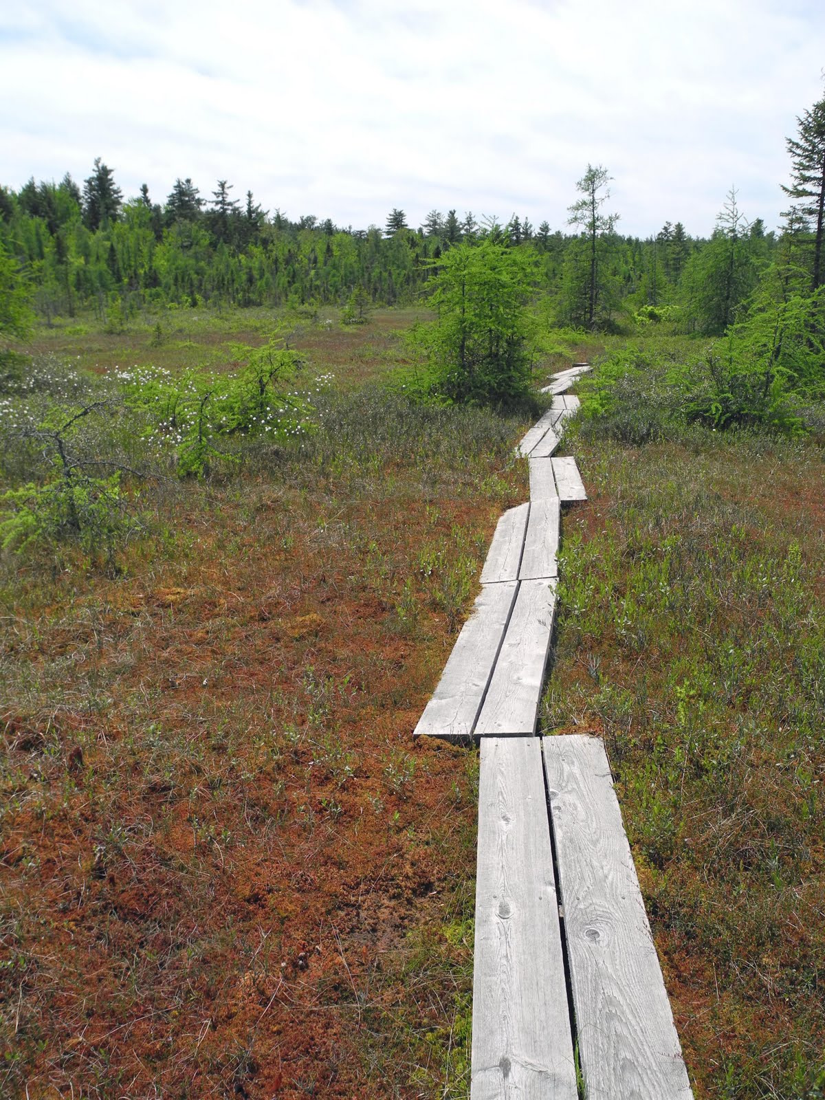 Written In Stone...seen through my lens: Walking on Water at the ...