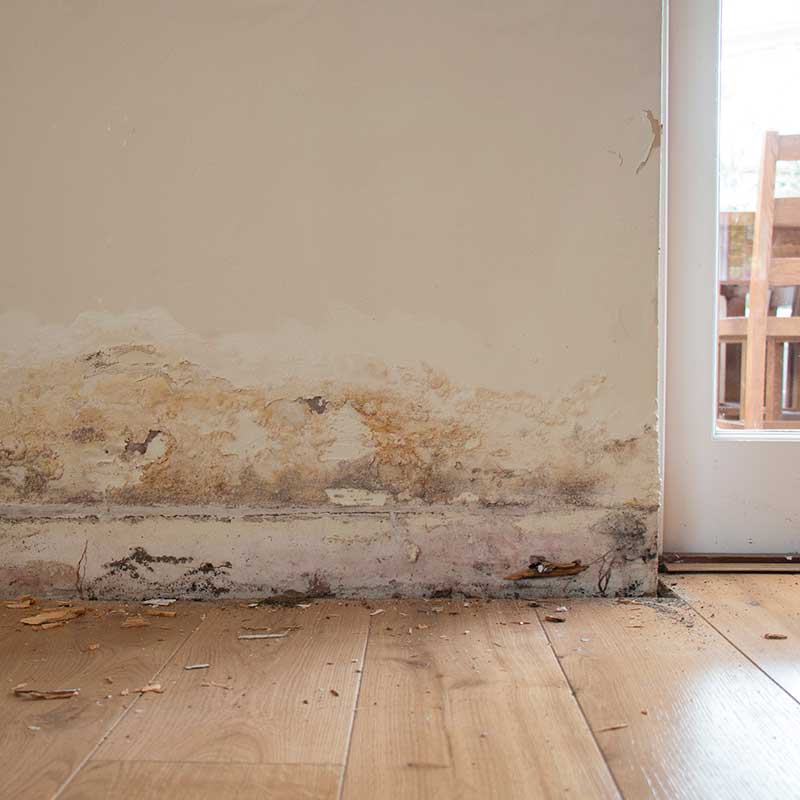 Dampness and Its Prevention - The Engineer