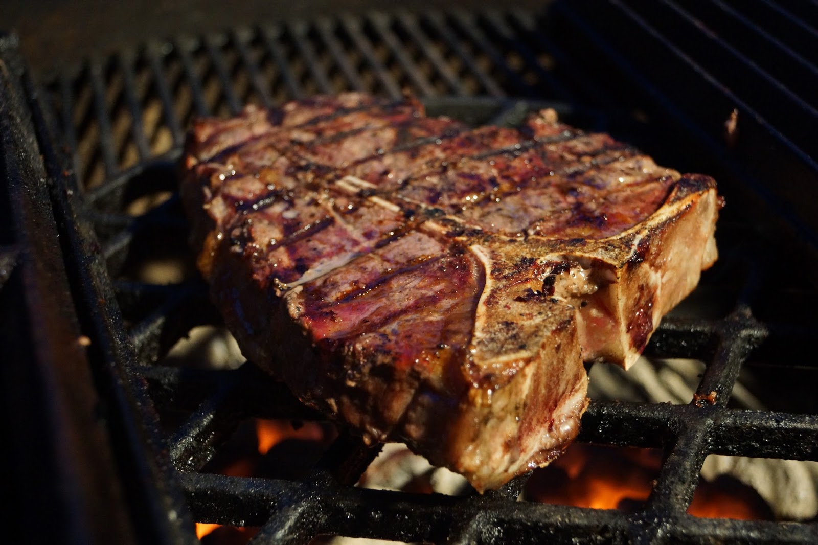 MAD MEAT GENIUS: TWAS THE NIGHT BEFORE SNAKE RIVER