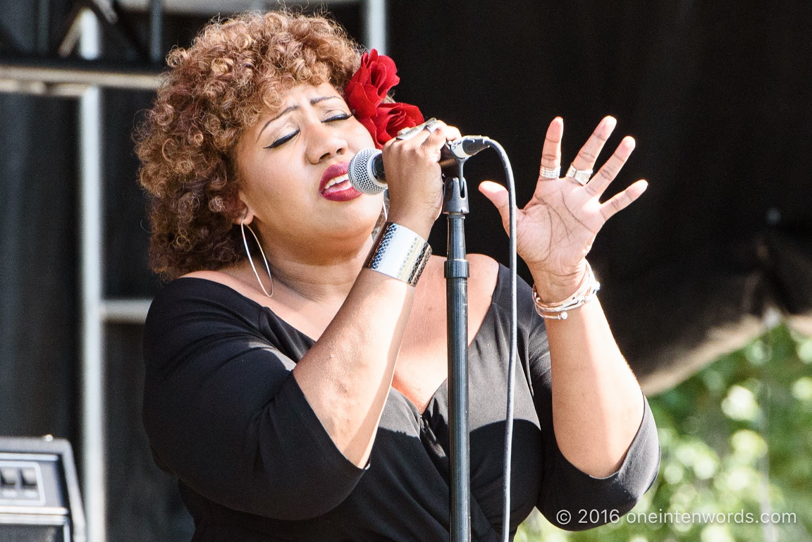 one in ten words: TURF 2016: Fort York Day 1: Simone Denny - Concert ...