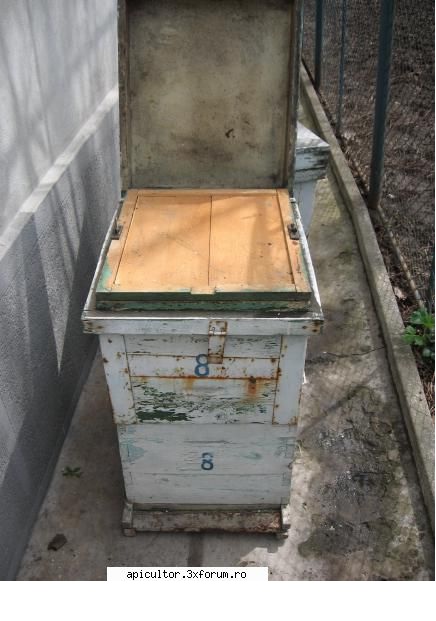 apicultor incepator