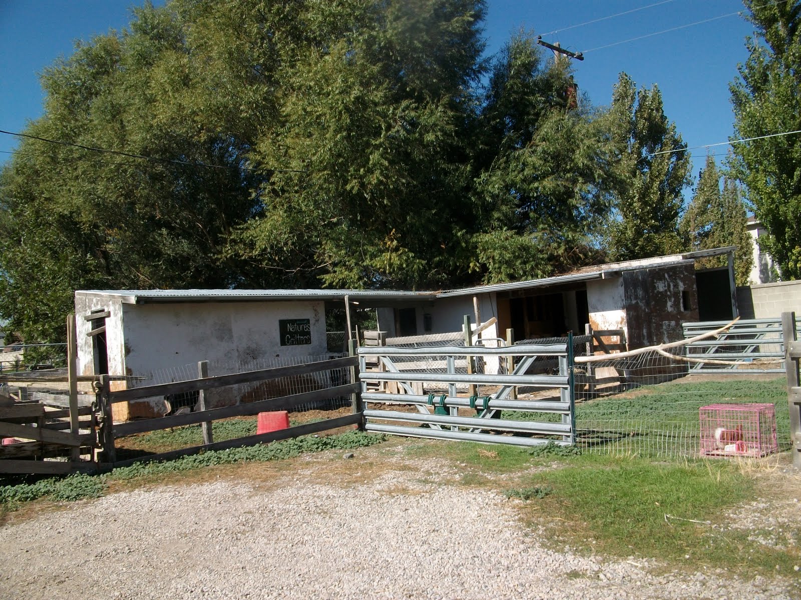 My blahg: Extreme Barn Makeover